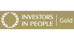 Starglaze | Careers at Starglaze